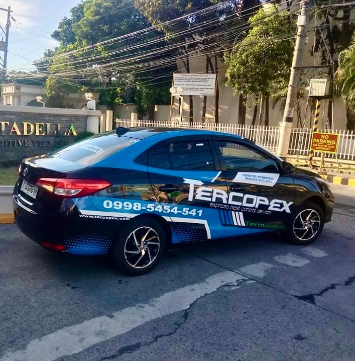 Best Termite Reticulation Philippines | Tercopex Pest Control Philippines