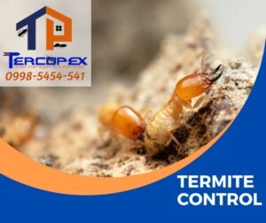 Tercopex – Pest Control & Termite Control, Metro Manila Philippines